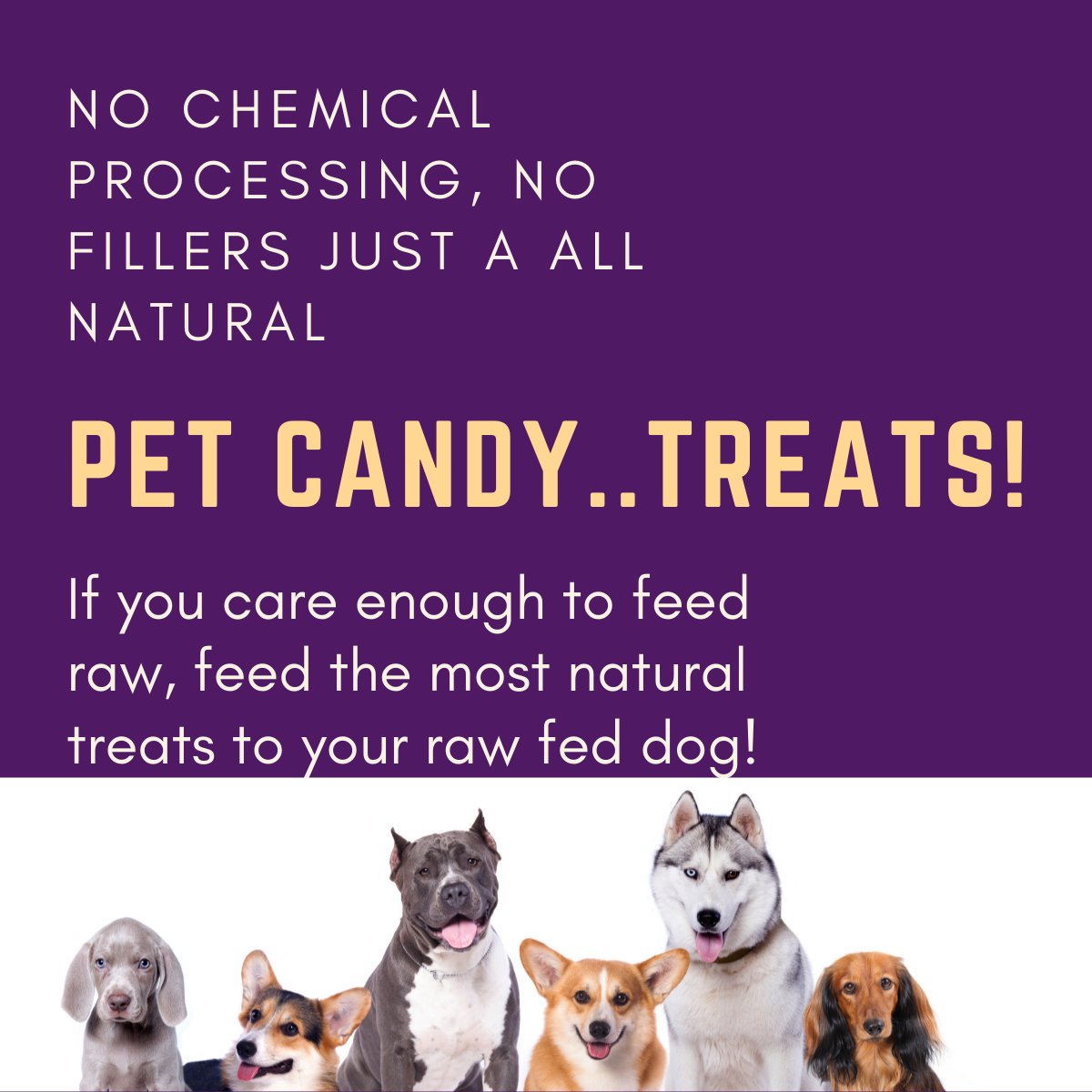 TREATS All-Natural Pet Treat Maker Pet Candy – rawpetfooddeliverymarket