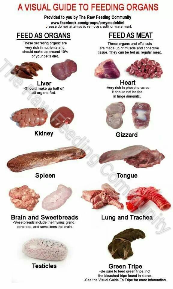 Goat Pancreas Whole - Frozen – rawpetfooddeliverymarket