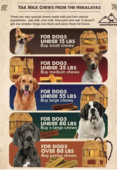 Yak Cheese Chew PUMPKIN Himalayan Yak Cheese PET CANDY **Treat**