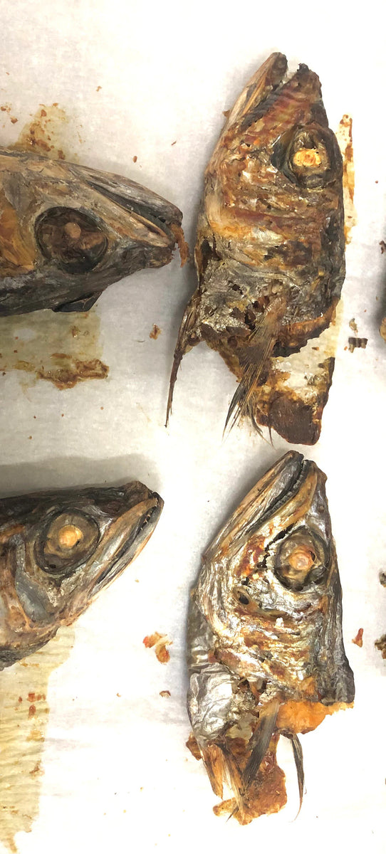 Dehydrated HOKI Heads - Whole – rawpetfooddeliverymarket