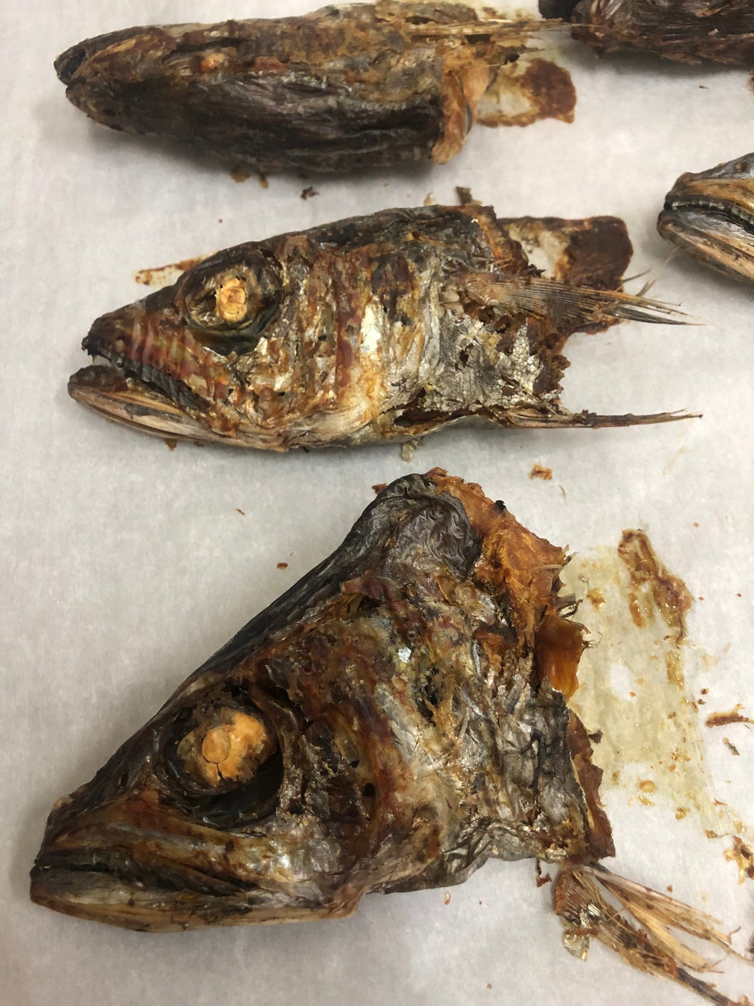 Dehydrated HOKI Heads - Whole – rawpetfooddeliverymarket