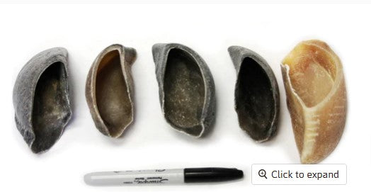 Cow Hoof Beef, Dehydrated – rawpetfooddeliverymarket