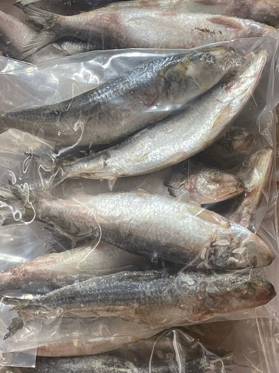 Sardines, Fresh Fish Whole Prey – rawpetfooddeliverymarket