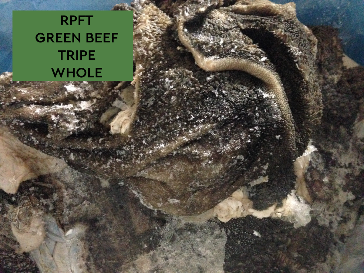 Beef Tripe Green Fresh, Whole or Ground – rawpetfooddeliverymarket