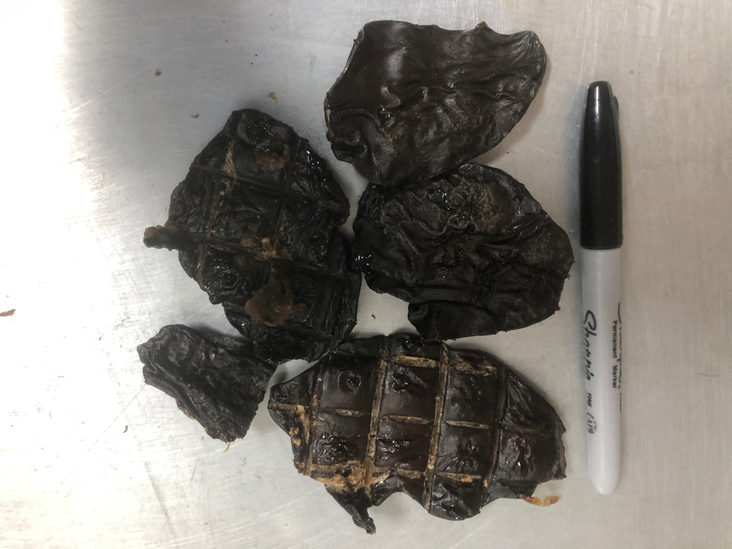 DUCK LIVER PET CANDY **Dehydrated Treat** – rawpetfooddeliverymarket